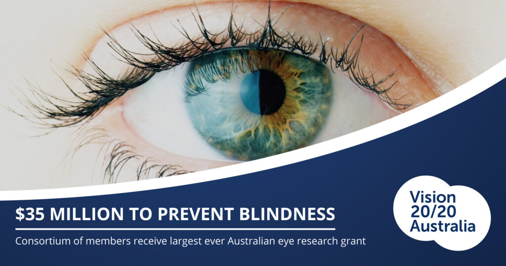 Vision 2020 Australia welcomes investment in eye health research ...